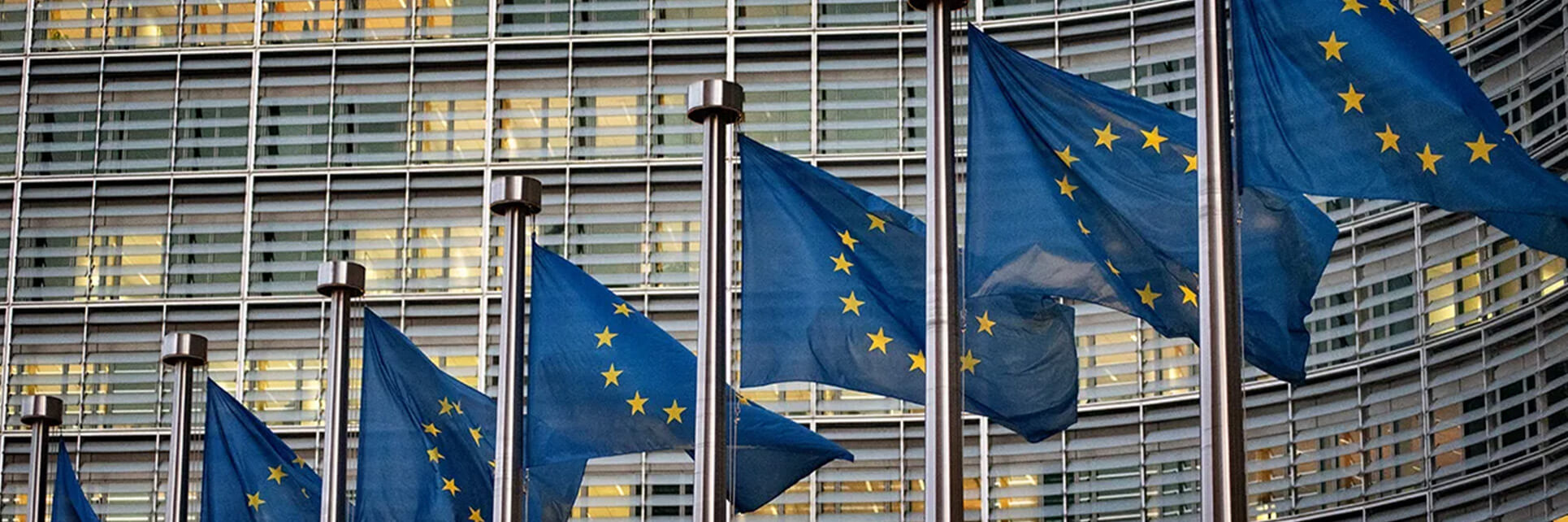 Stankevicius International