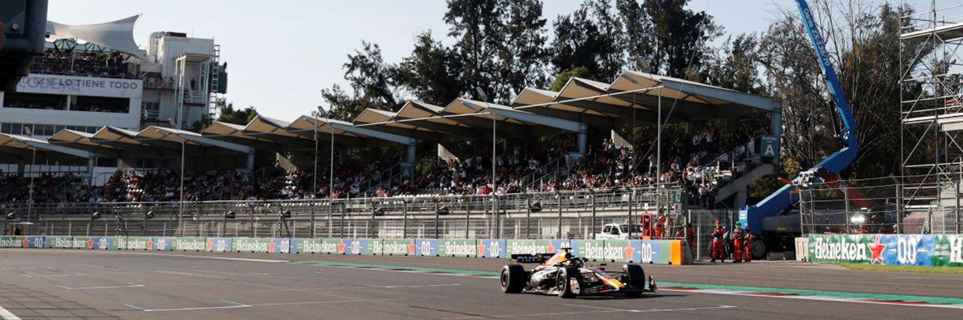 Stankevicius International